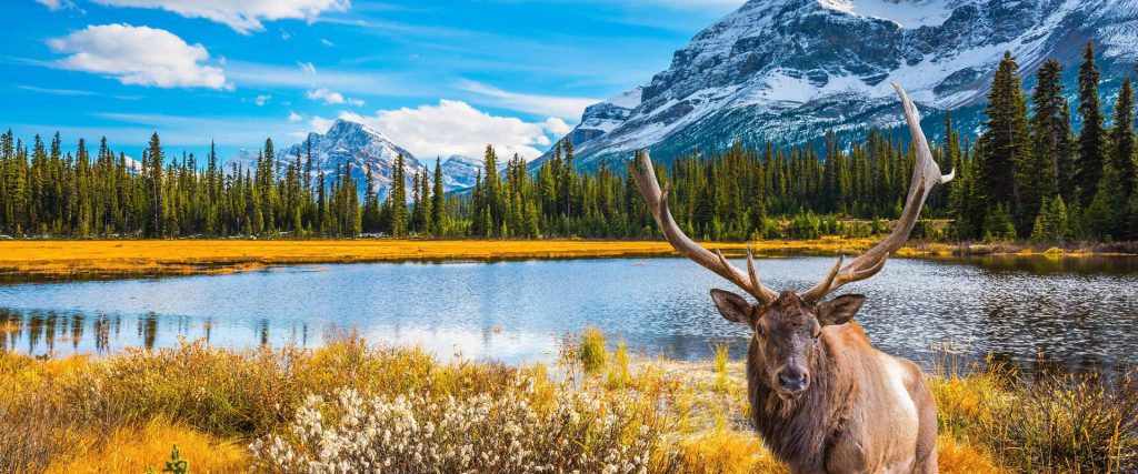 Καναδάς | Πλήρης ταξιδιωτικός οδηγός | Travel Hook