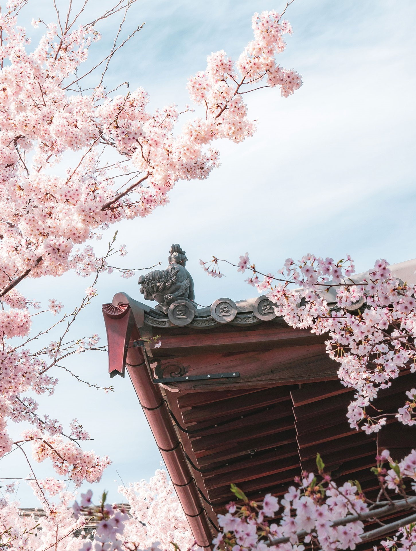 Ιαπωνία | Πλήρης ταξιδιωτικός οδηγός | Travel Hook